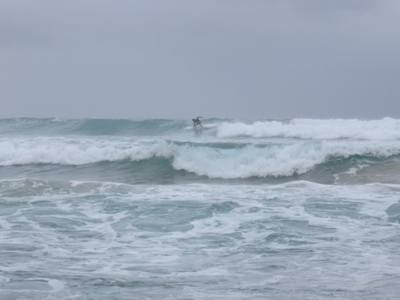 Praia da Ferrugem (Garopaba): Não vá sem antes ler este post