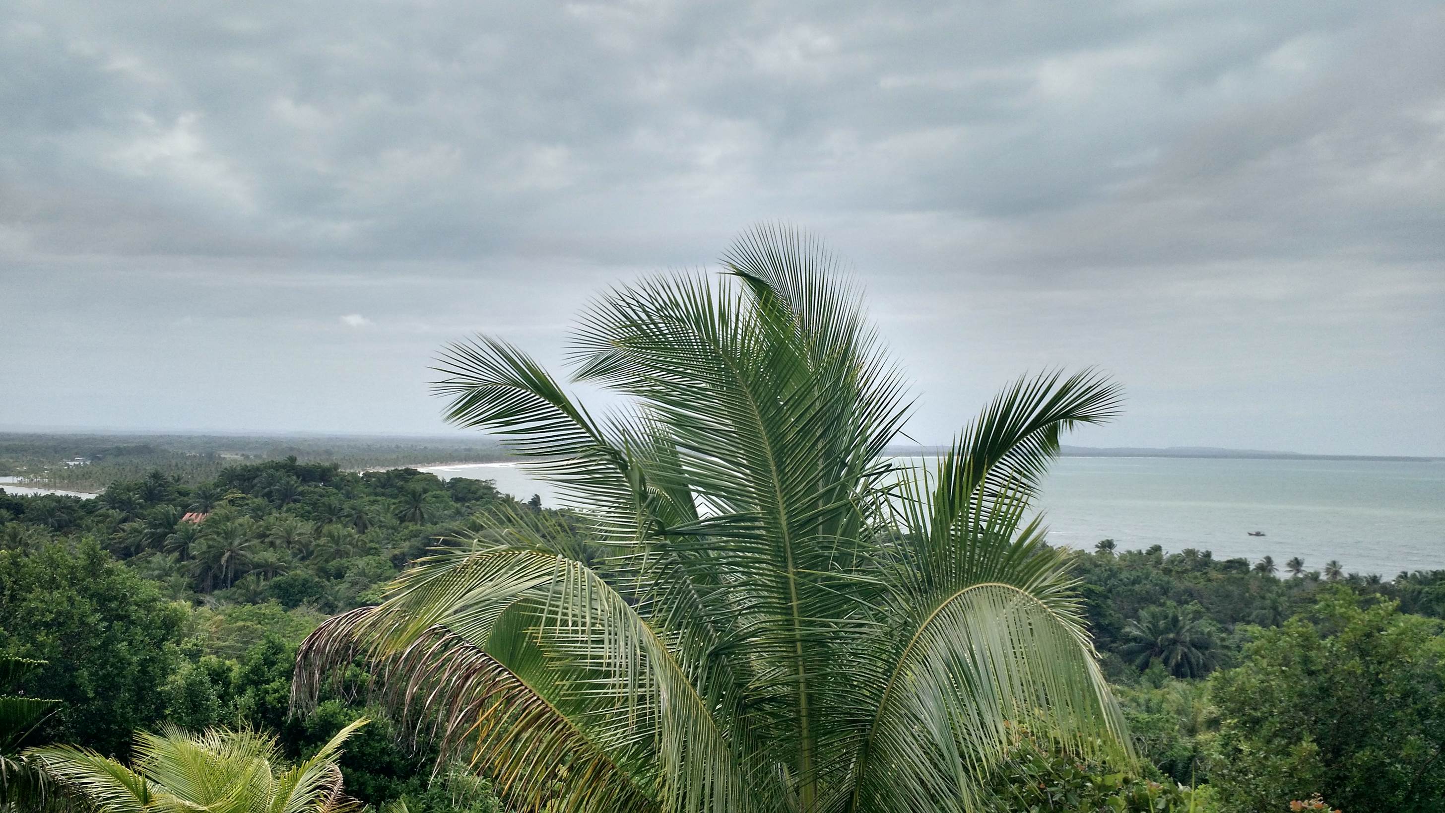 Ilha de Boipeba (BA): O que você tem que saber para a sua viagem ...
